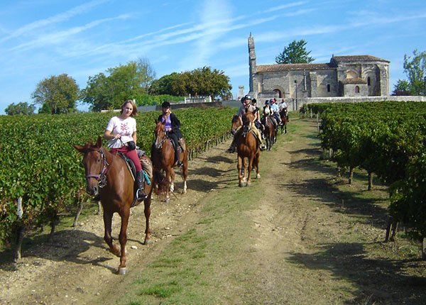 FRANCE - Horse riding and wine tasting tour in Bordeaux vineyards - By ...