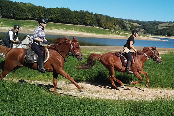 RIDE IN FRANCE - Endurance Horseback riding in Burgundy and Lozere ...