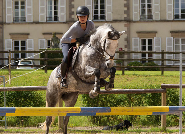 Luxury Equestrian Holidays in France: stay in a French chateau (castle ...